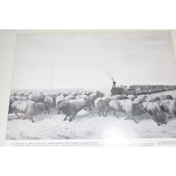 Art | Transcontinental Railroad Buffalo Blocking Tracks Repro Print Dpa ...